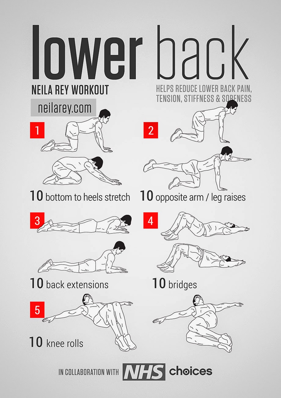 Best Lower Back Stretches TFE Times